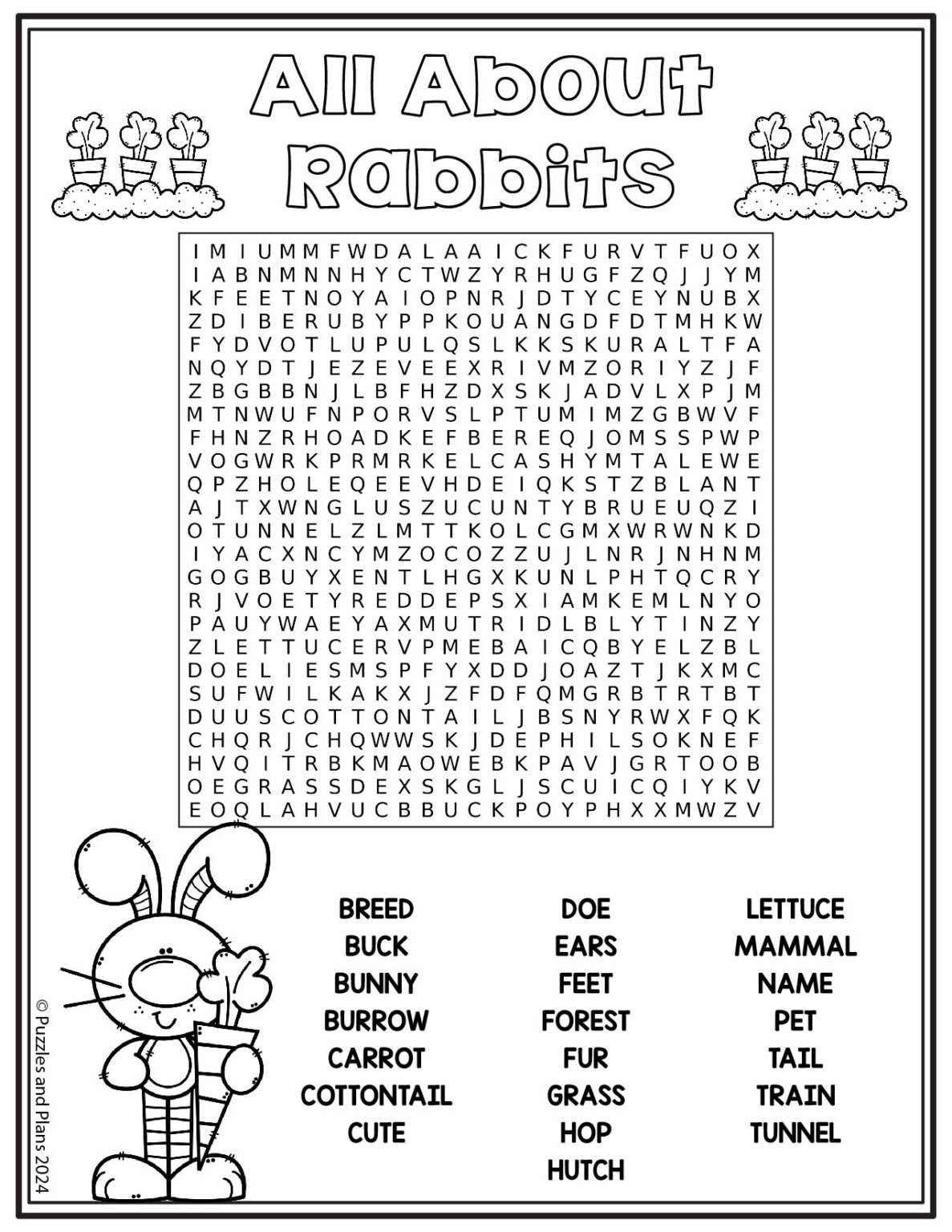 Word Search Puzzles - puzzlesandplans.com